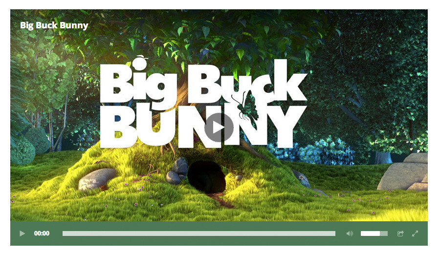 Modern HTML5 Responsive Video Player by RikdeVos | CodeCanyon